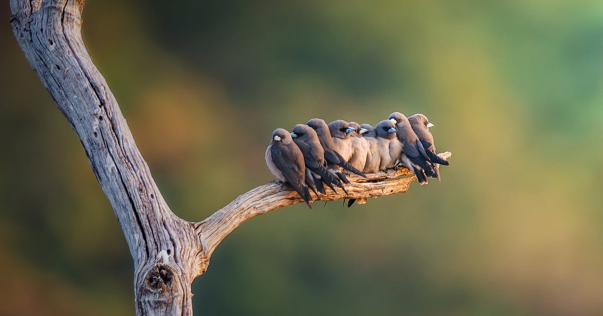 Bing Wallpaper - July 24, 2025 Singapore