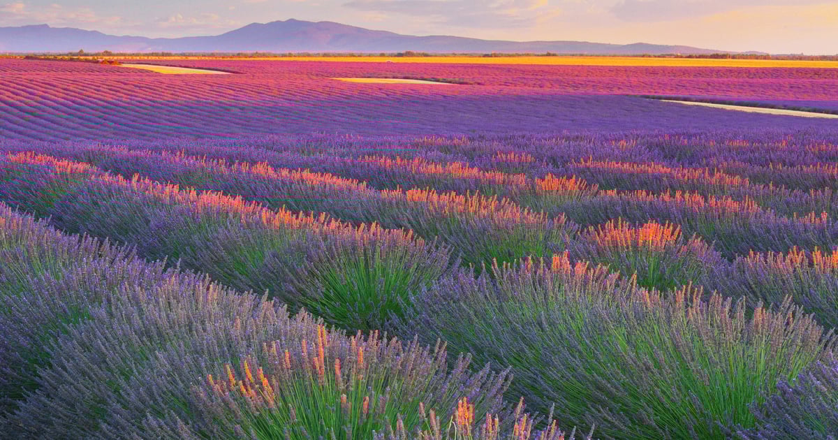 Bing Wallpaper - July 17, 2025 Worldwide